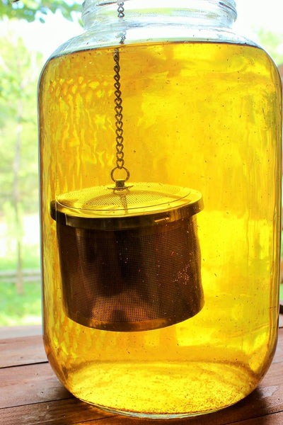 Capsule Infuser – Clipper Ship Tea Company